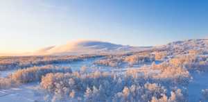 Cross-Chapter Paper 6: Polar Regions | Climate Change 2022: Impacts ...