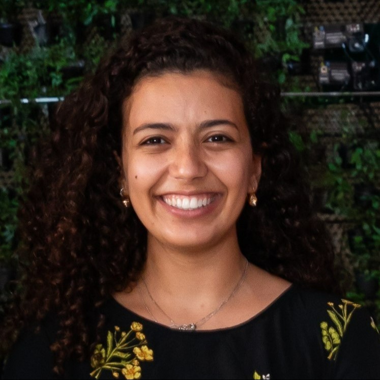 Sherine El-Wattar — IPCC