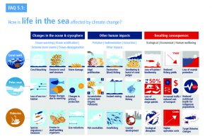 FAQ Chapter 5 — Special Report on the Ocean and Cryosphere in a ...