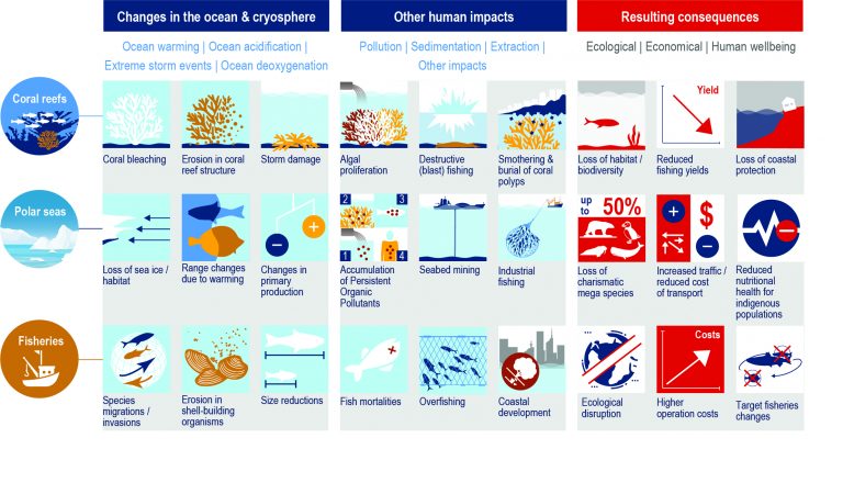 FAQ 5.1: How is life in the sea affected by climate change? — Special ...